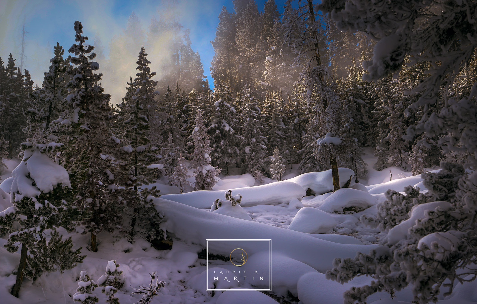 Cozy Forest | Yellowstone National Park | Laurie R. Martin Photography